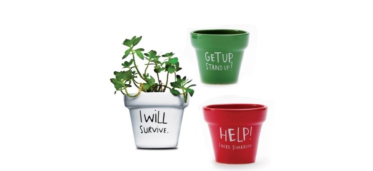 Des astuces pour avoir la main verte facilement - Ressources gratuites